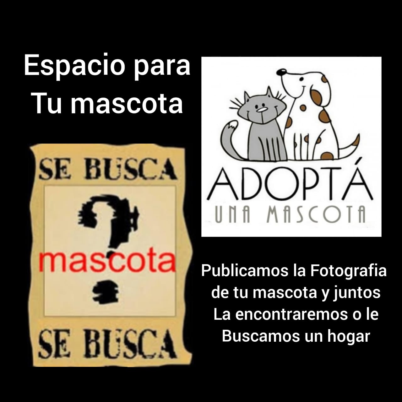 JUNTOS LO LOGRAREMOS